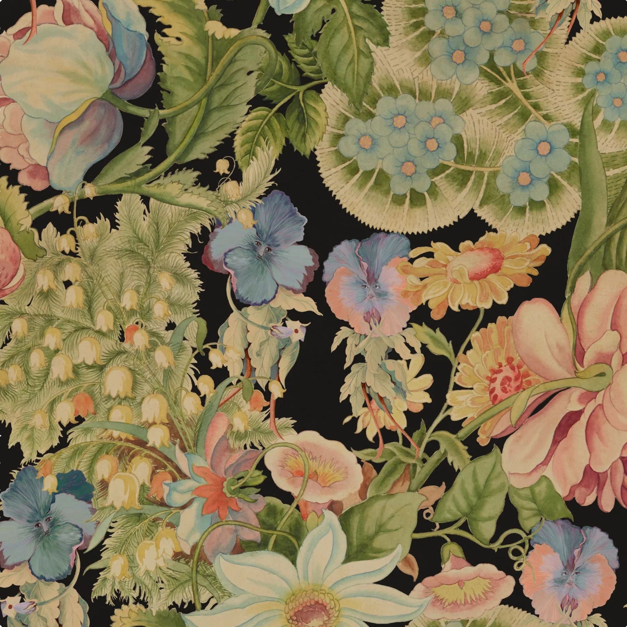 Amatoria Noir Velvet Fabric – House of Hackney | Little & Fox