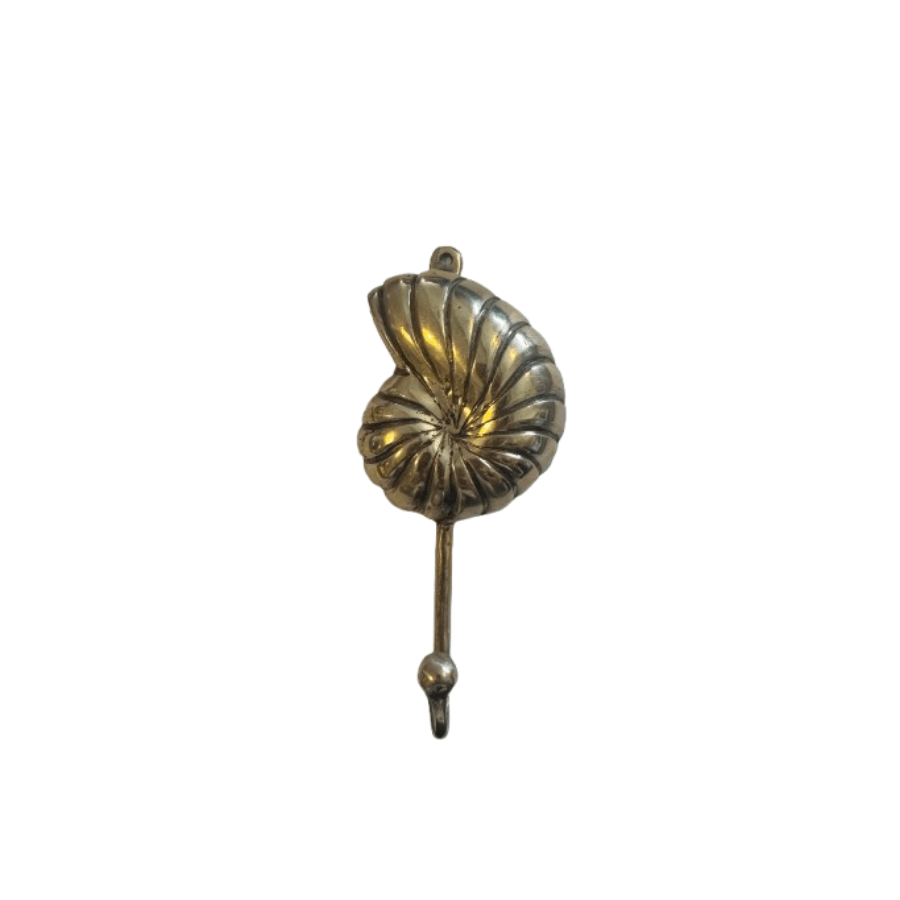 Large Brass Conch Shell Hook – Little & Fox