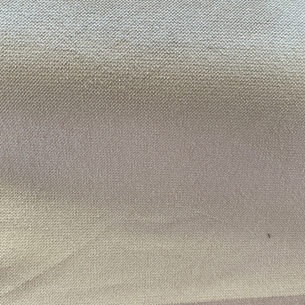 Seconds Mystic Parchment Velvet Fabric – Little & Fox